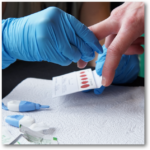 Wellness Solutions for Over 30 Years | World of Wellness